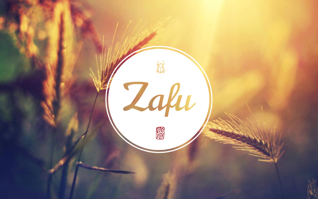 Projects – Temple Lion Studios